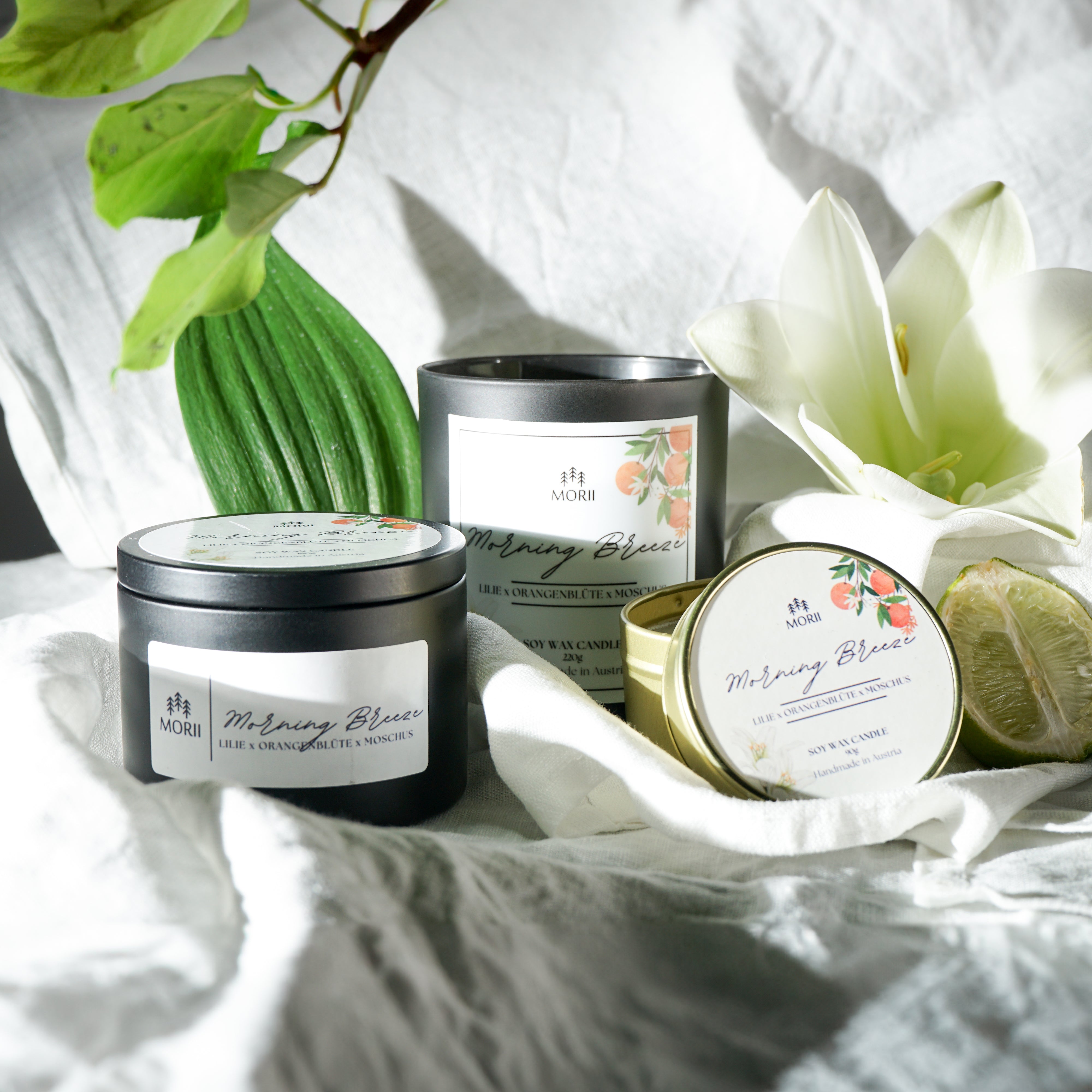 MORNING BREEZE – MORII